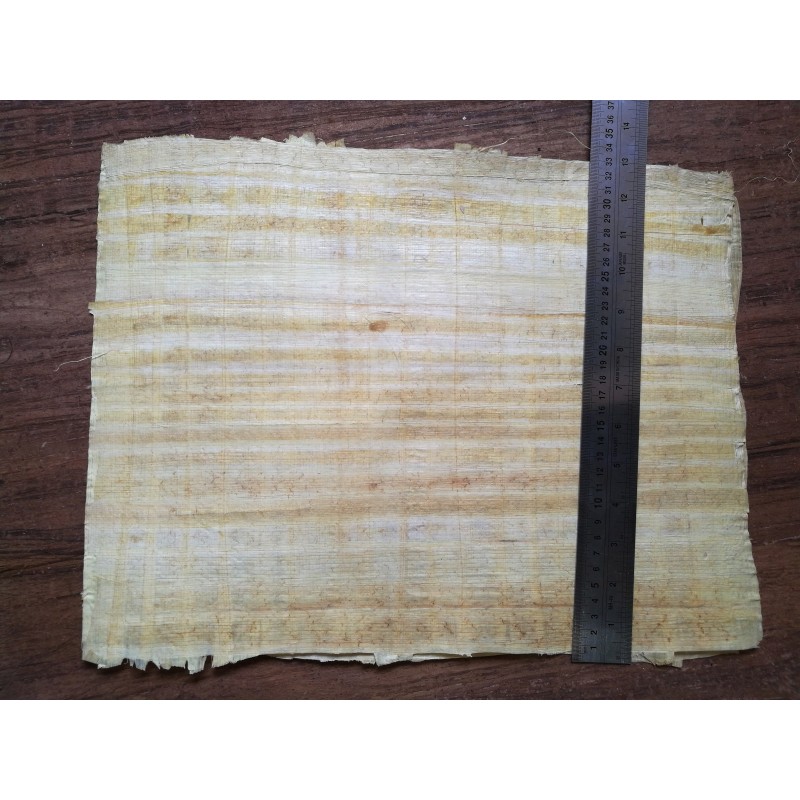 100 A3 Papyrus égyptien vierge en gros 16x12" 32x42cm Couleur Jaune