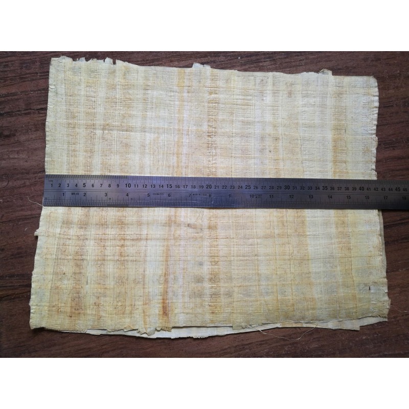 100 A3 Papyrus égyptien vierge en gros 16x12" 32x42cm Couleur Jaune
