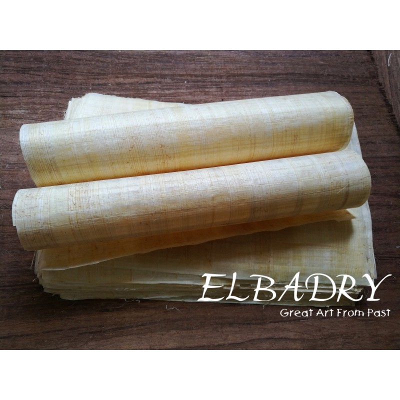 Wholesale 100 Papyrus papers 12.5x8.5 inch natural edges 22x32