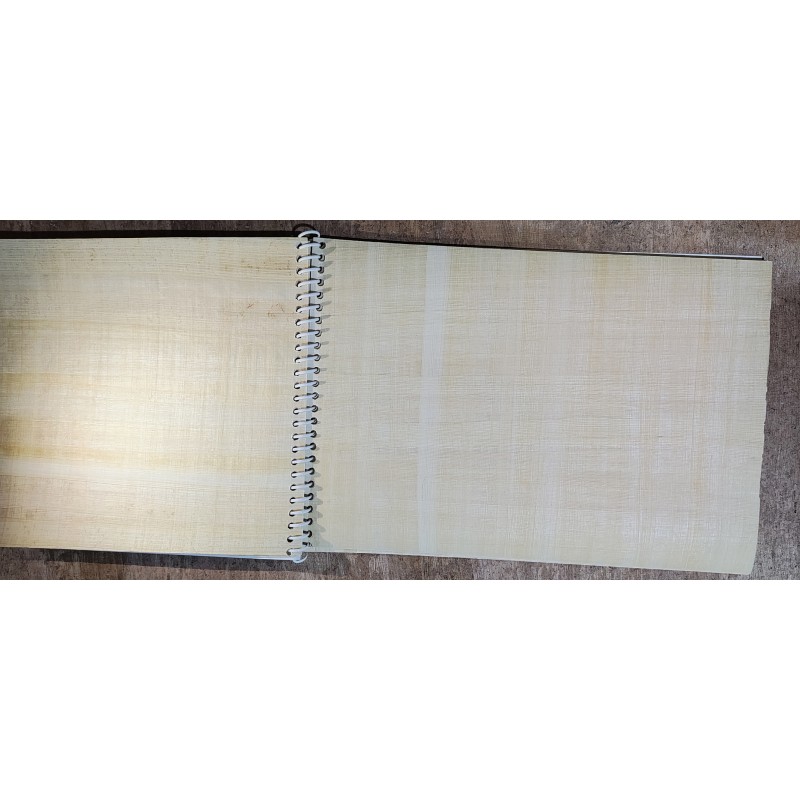 Journal Papyrus | Journal en cuir de papyrus | Carnet papyrus Taille A4