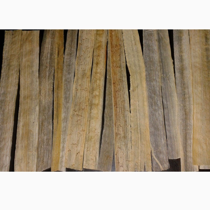 Real Papyrus Strips – Make Your Own Papyrus Paper at Home | DIY Kit Size A5